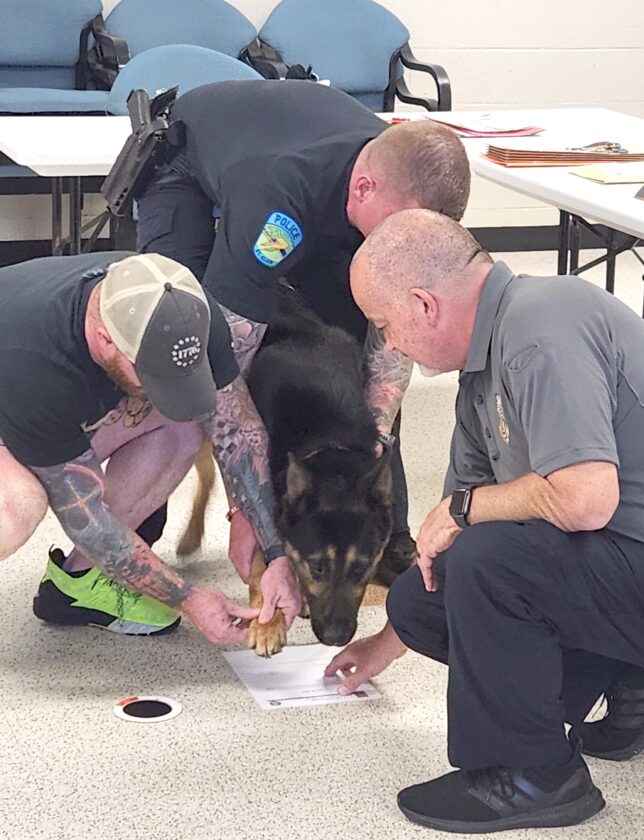 New K-9 officially part of St. Clair Police Department | News, Sports ...
